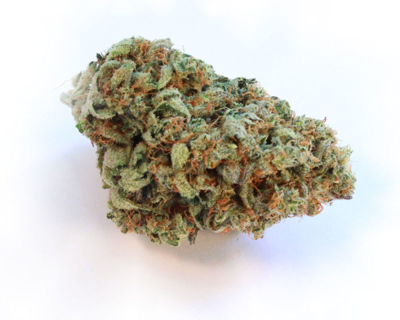 Nebula - Hybrid Strain by Paradise Seeds - Legalize it. We Think So