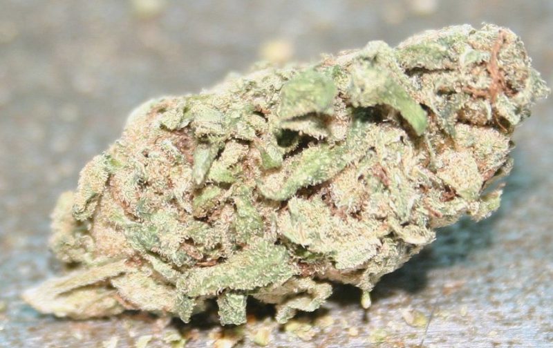 White Widow - A Crystal Covered Classic Strain - LIWTS White Widow - A Crystal Covered Classic Strain - LIWTS
