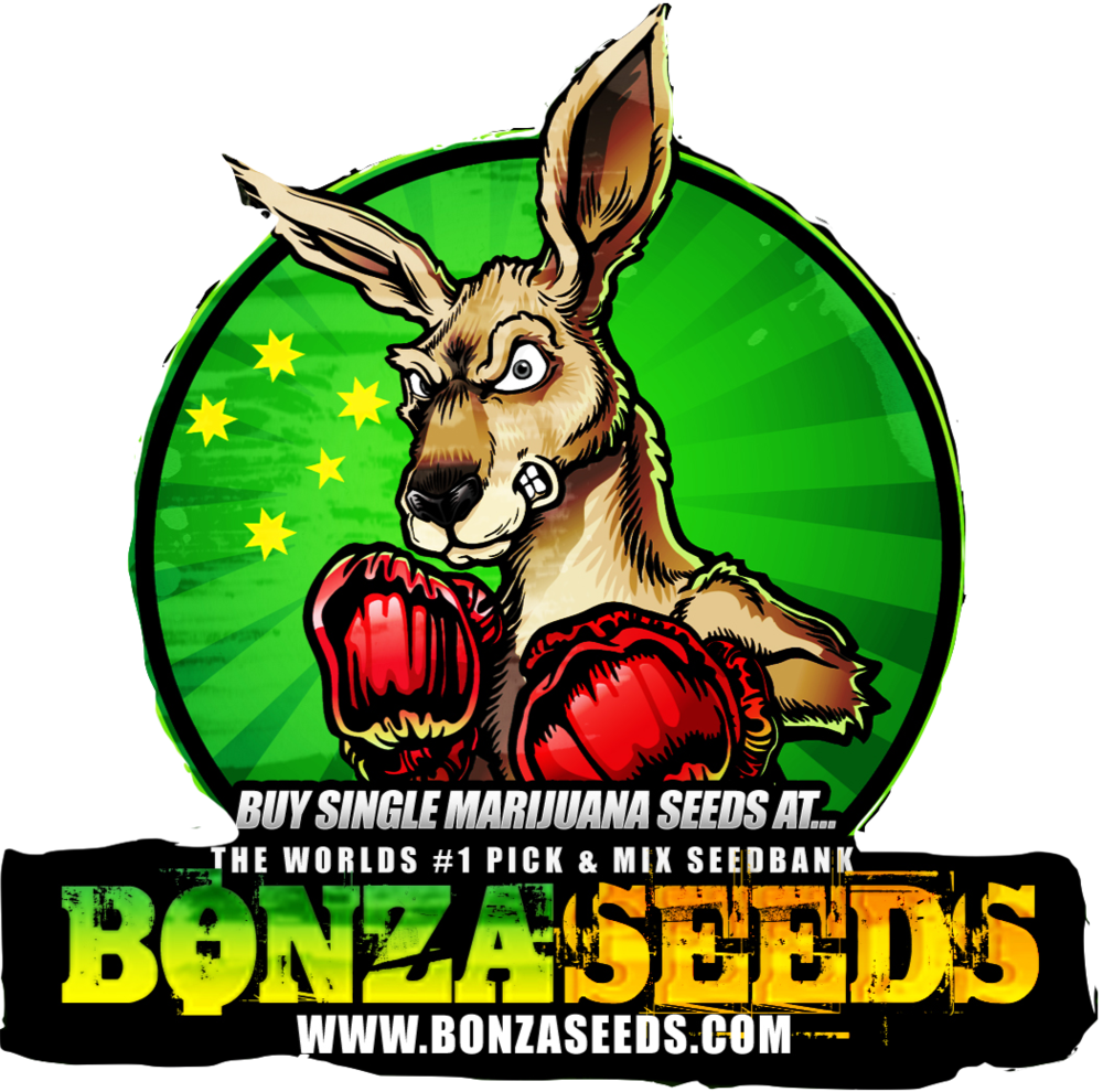 Seedbank Archive - Legalize it. We Think So