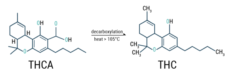 What Is Decarboxylation and Why Does It Matter? - Legalize it. We Think So