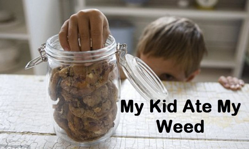My Kid Ate One of My Edibles: Now What Do I Do? - Legalize it. We Think So