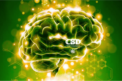 Incredible Bulk a High Yield, High THC Indica - Legalize it. We Think So